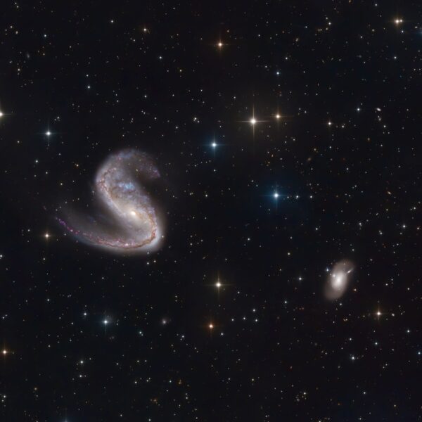 הכירו את גלקסיית הקוברה והעכבר – המרכז האסטרונומי